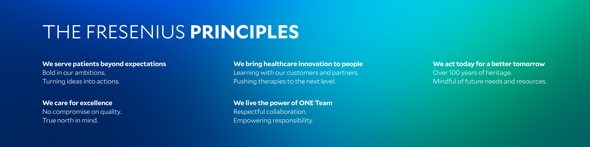 Group Overview | FSE